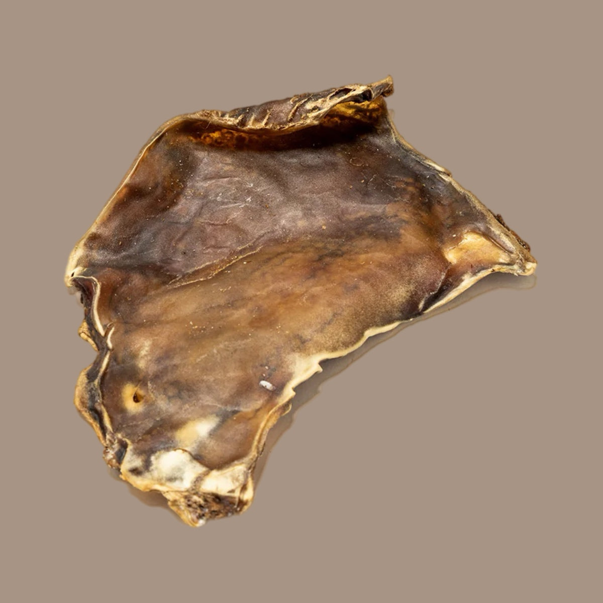 Camel Skin Plates – Lady’s Larder